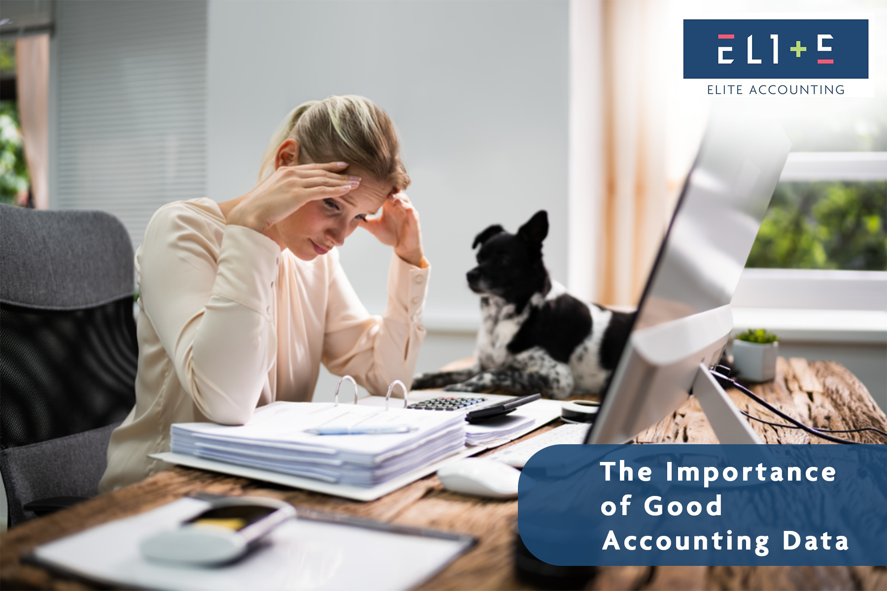 The Importance of Good Accounting Data - Elite Accounting Leicester